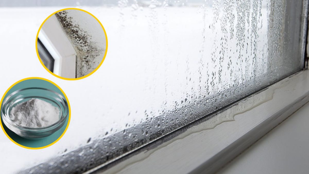 5 astuces pour supprimer la buée des vitres et la condensation – voici ... 5 astuces pour supprimer la buée des vitres et la condensation – voici ...