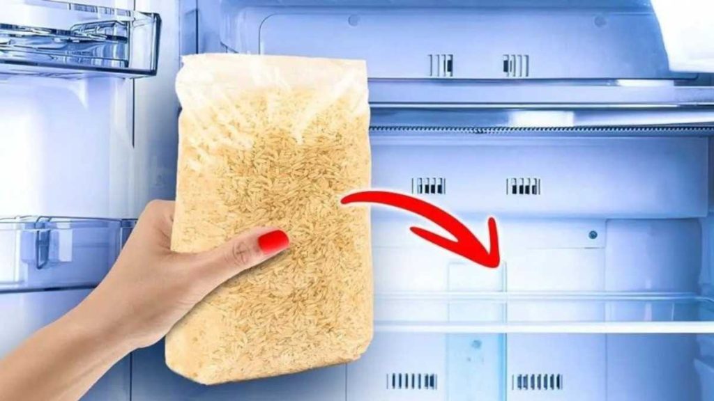 Pourquoi est-il nécessaire de mettre le riz au réfrigérateur ? Cela ... Pourquoi est-il nécessaire de mettre le riz au réfrigérateur ? Cela ...